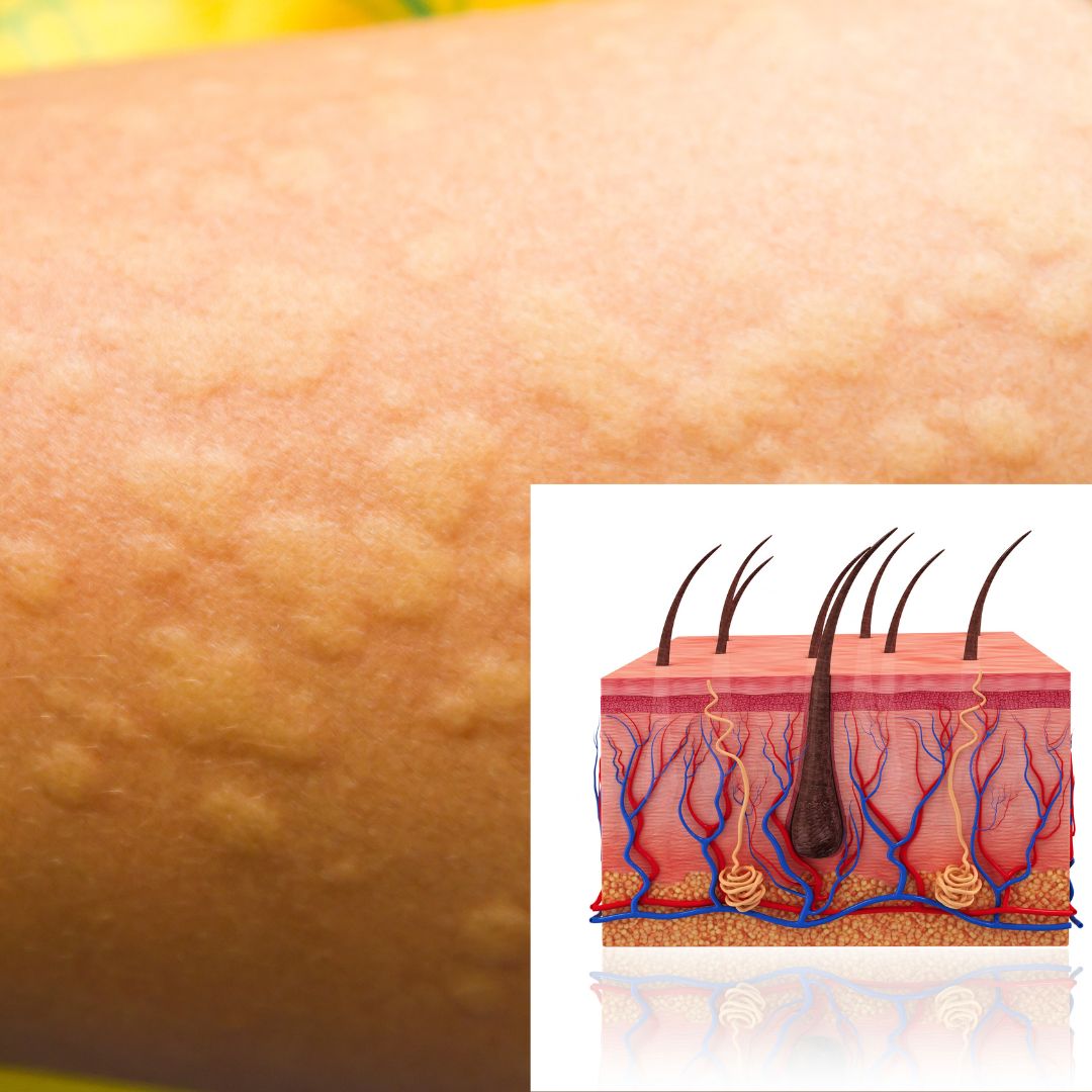 Perkhidmatan - NURMEDIKLINIK.COM